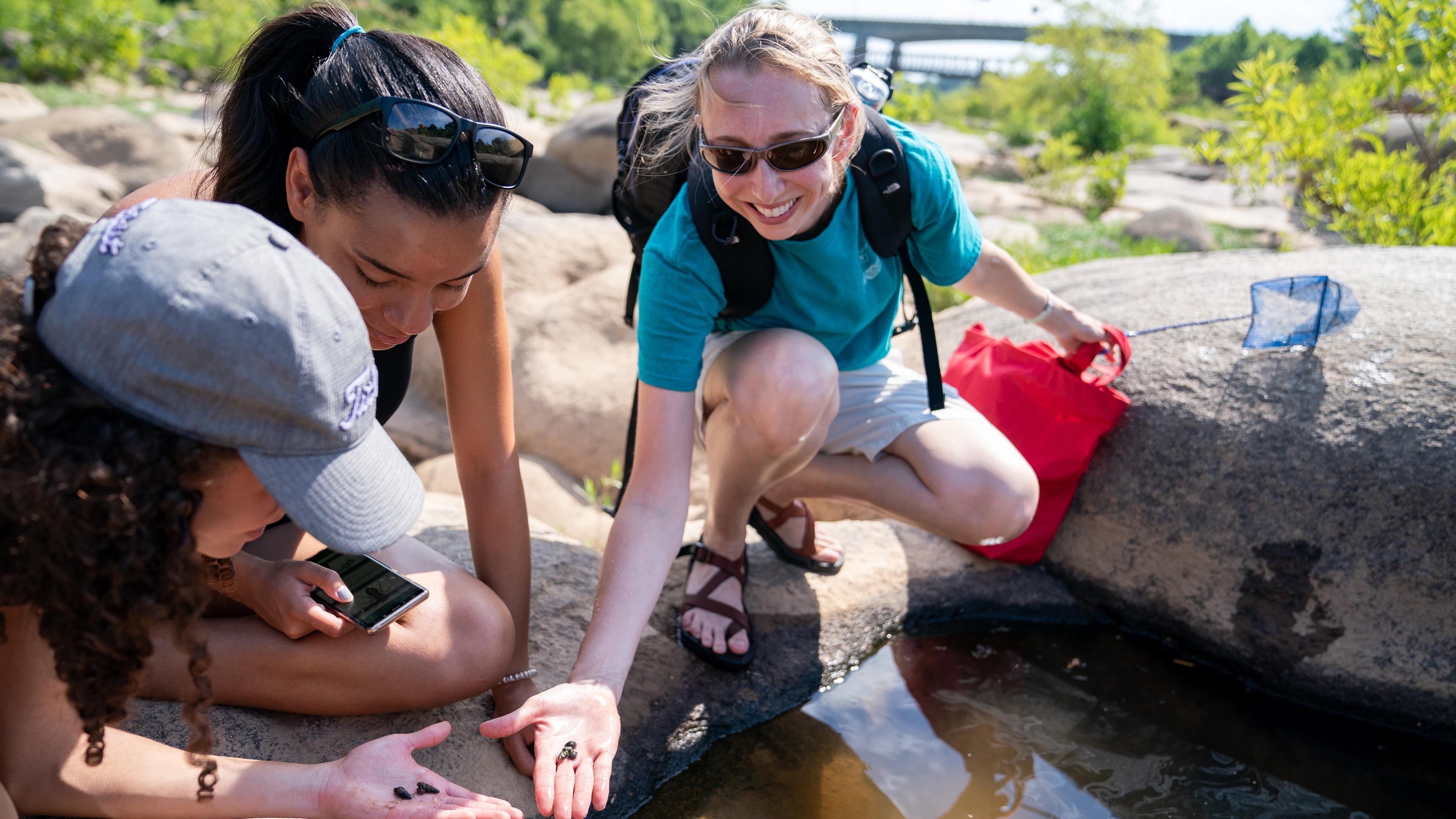 University of Richmond Biology Professor Kristine Grayson Receives USDA ...