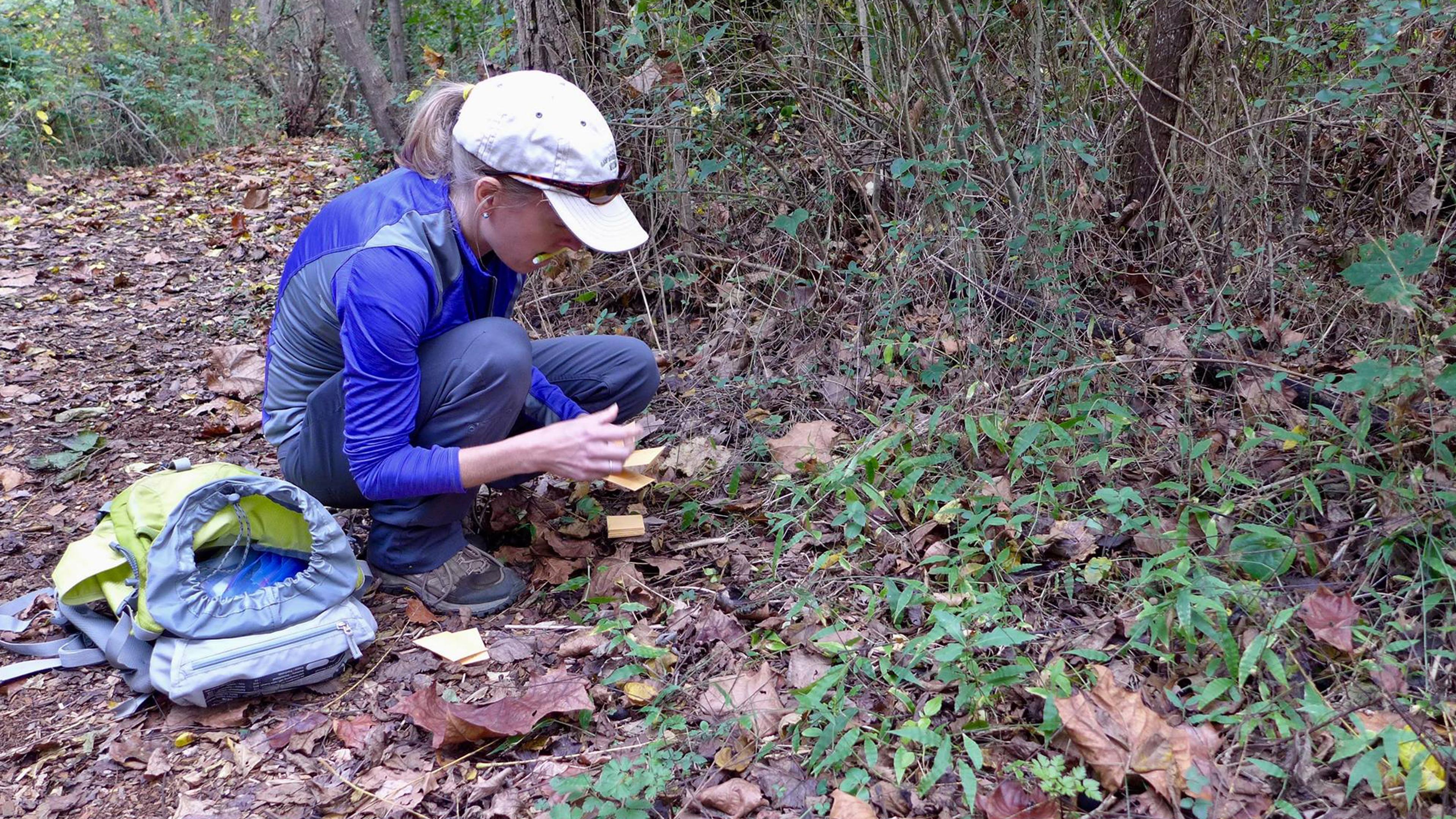 University of Richmond Biology Professor Carrie Wu Receives $200K USDA ...