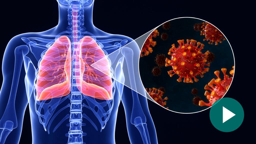 When will we have a COVID-19 vaccine? - URNow - University of Richmond