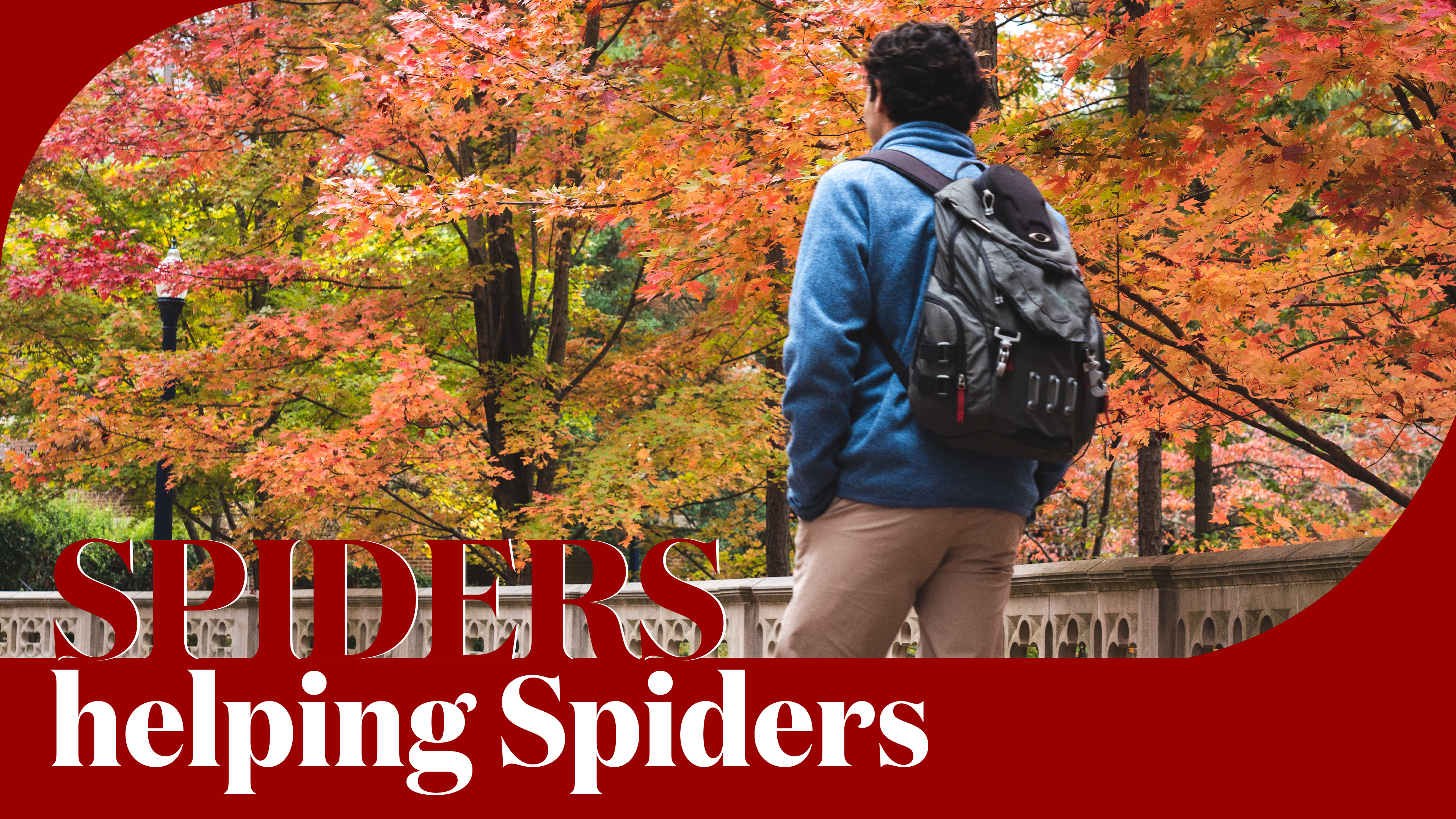 Generous Spiders provide a web of support for students - URNow ...