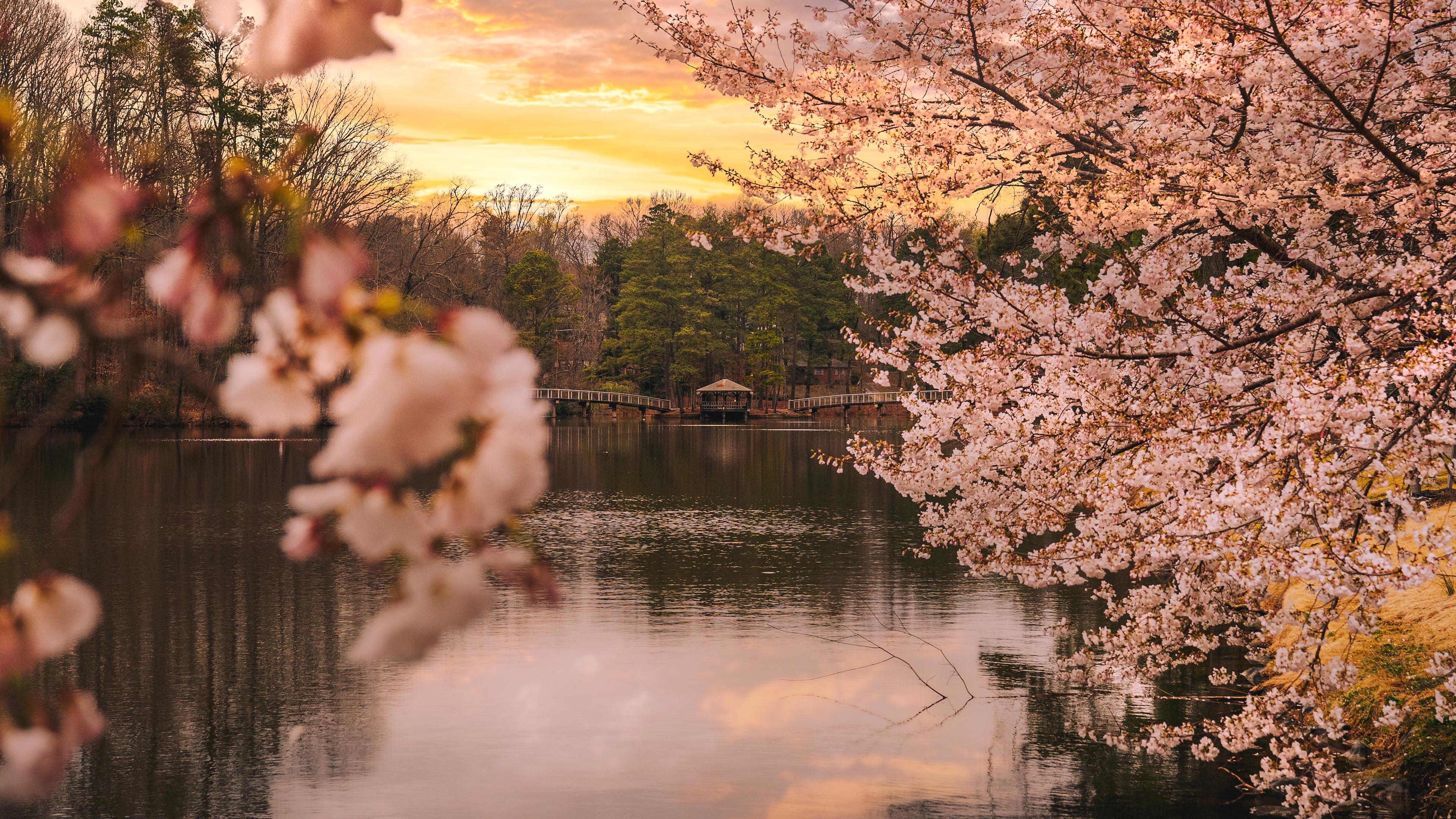 Twilight - Magazine - University of Richmond