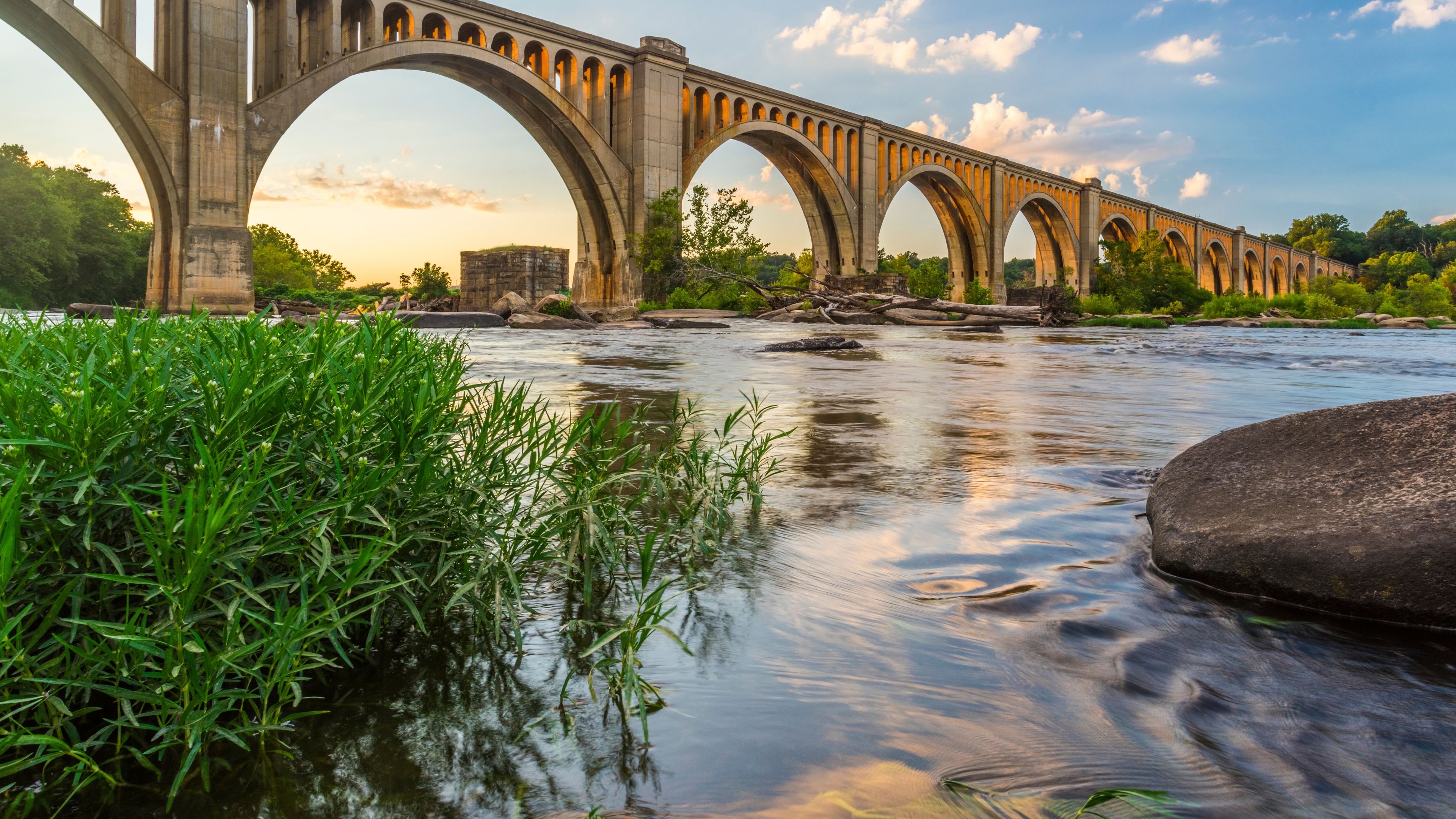 Step Ahead on Pilgrimage Through the Years: Reflections from John H ...
