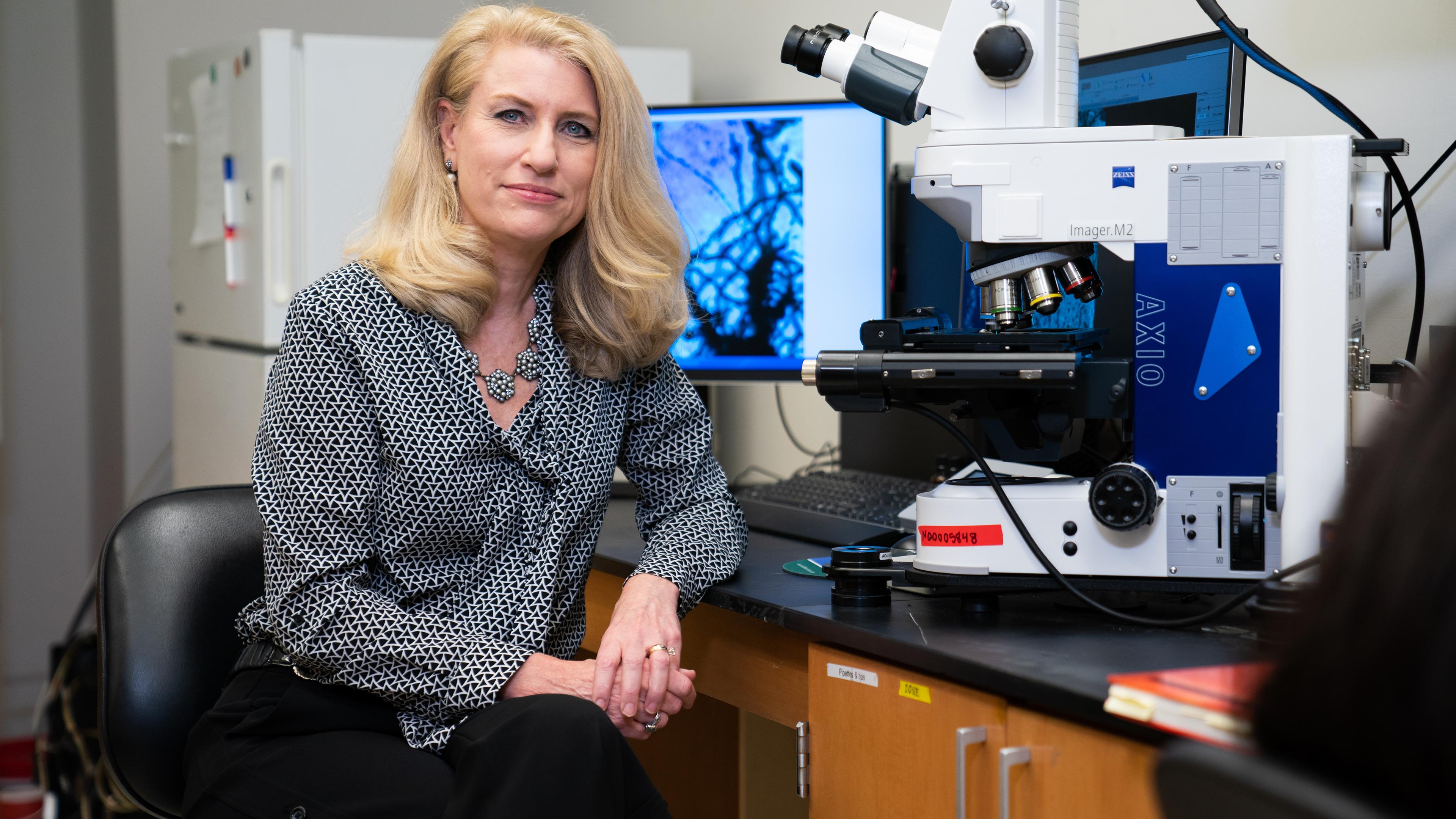 A neuroscientist's tips for a new year tune up for your brain - news ...