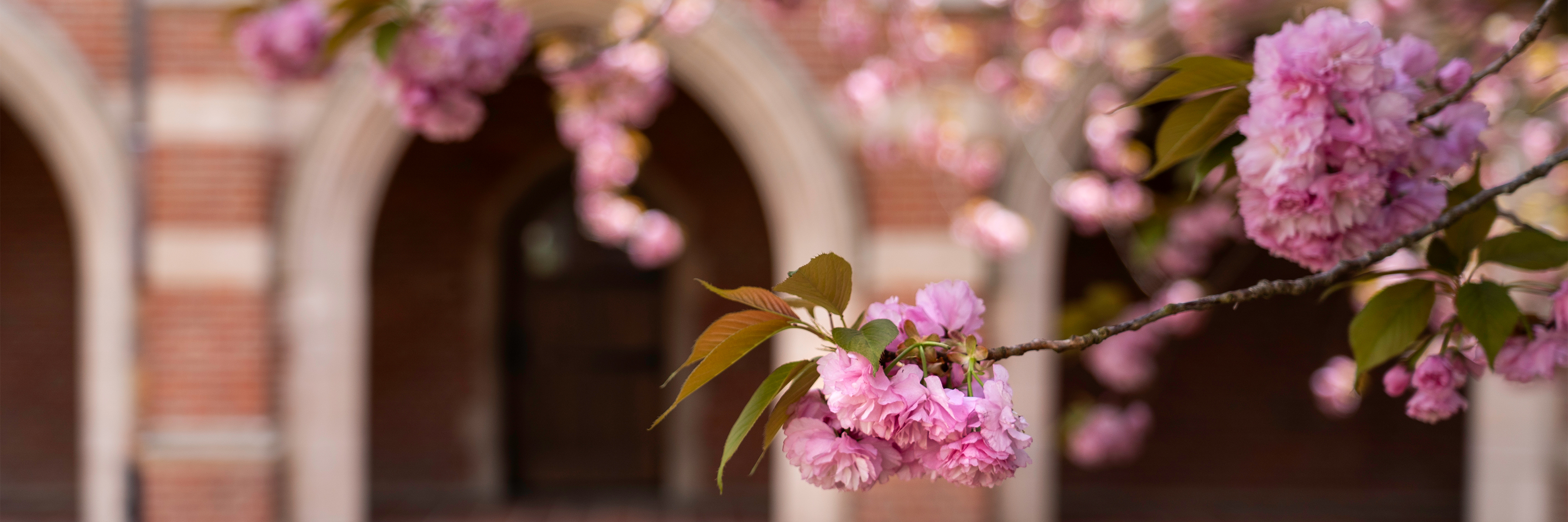 Discrimination & Harassment - Compliance, Title IX, & Non ...