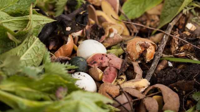 What is Composting & Why Do We Compost? - Rethink Waste - University of ...