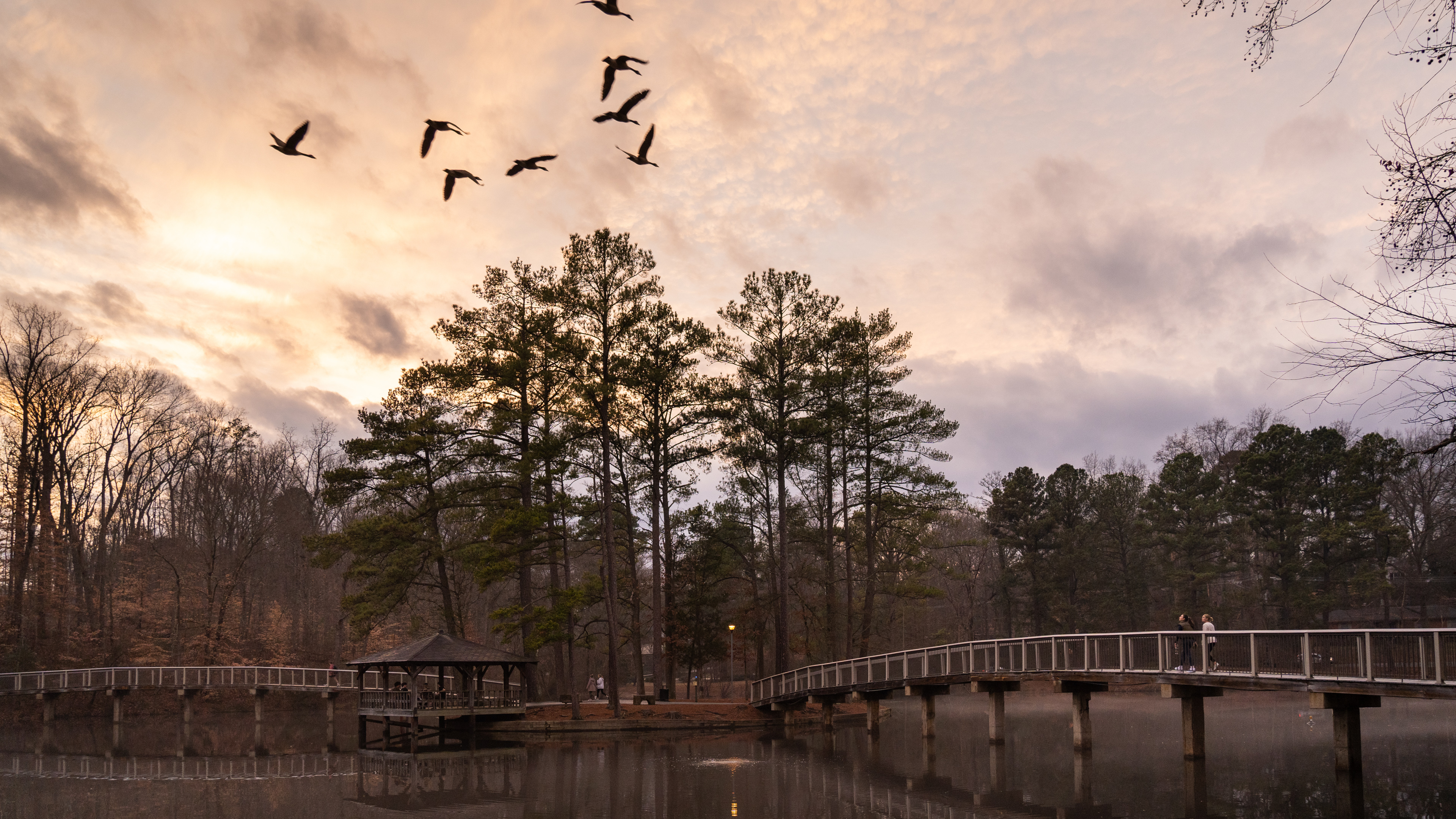 Get Ready for Go-Live! - workday - University of Richmond