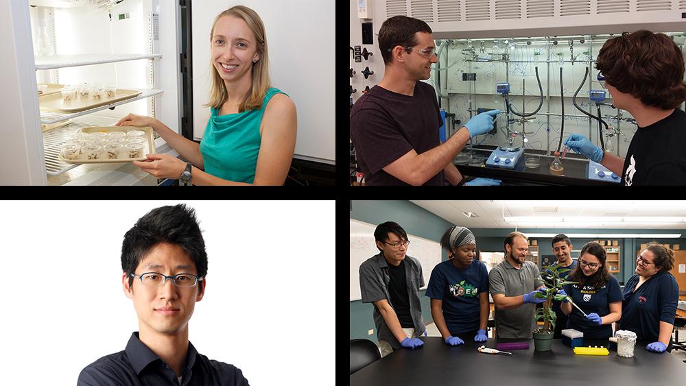 Four University of Richmond Faculty Receive Jeffress Memorial Trust ...