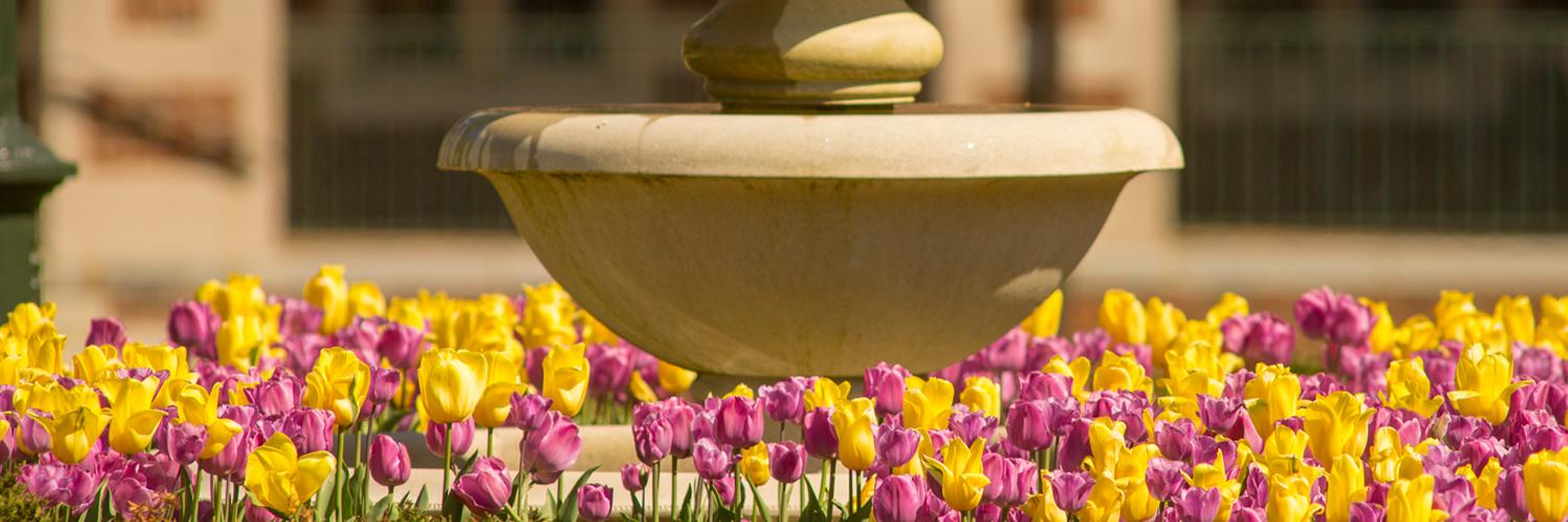 Alumni - University of Richmond