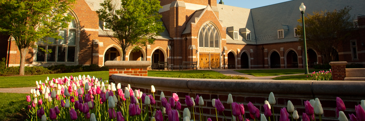 Contact Us - Computer Science - School of Arts & Sciences - University ...