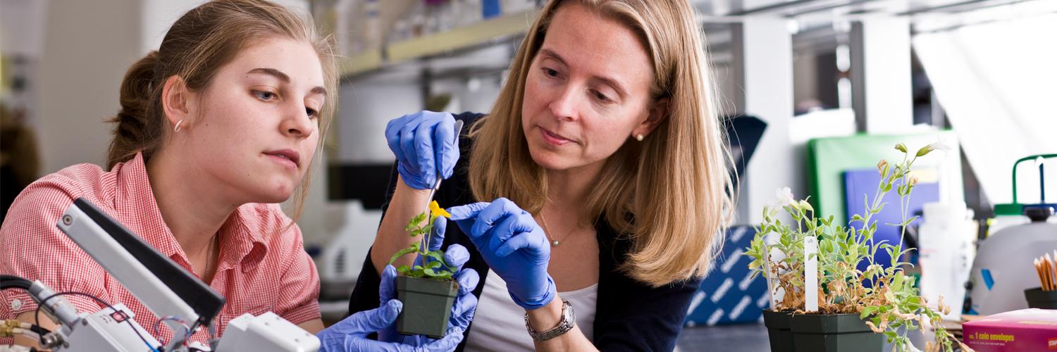 Department of Biology - School of Arts and Sciences - University of ...