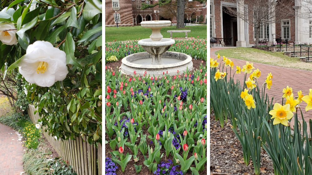 Recognition Round-Up - news - University of Richmond