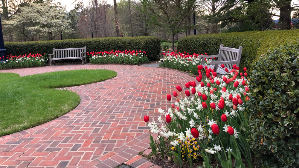 Recognition Round-Up - news - University of Richmond