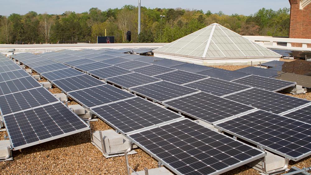 Spiders go solar - Magazine - University of Richmond