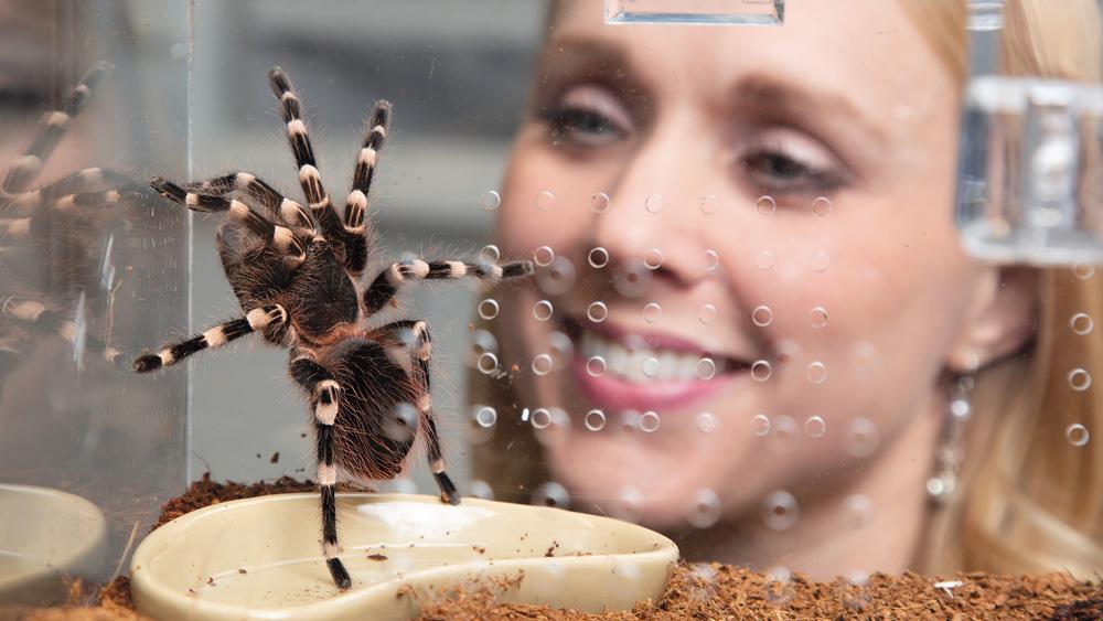 Spider love - Magazine - University of Richmond